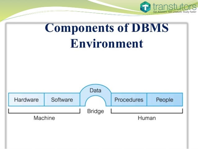Database Management System (DBMS) | Computer Science