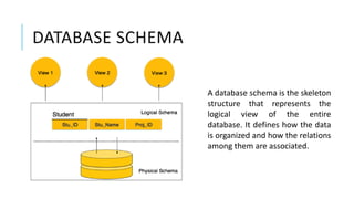 Database Management System | PPTX