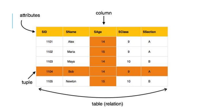 database management system - overview of entire dbms | PPT database management system - overview of entire dbms | PPT