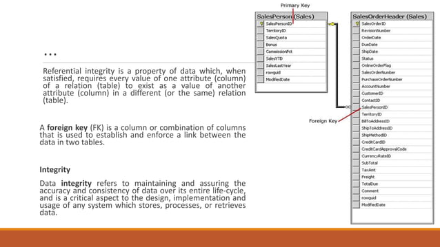 Relational Data Model Introduction | PPTX