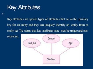 Understanding Entity Relationship Models | PPT