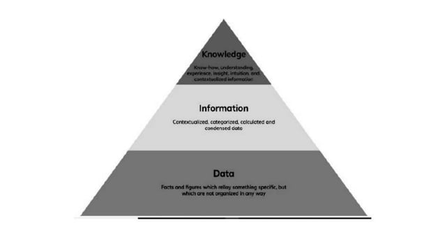 Database Management System A Complete PPT for XII | PPTX | Databases | Computer Software and ...