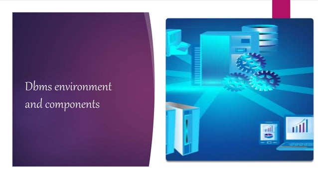 Dbms Environment And Components Pptpptx 