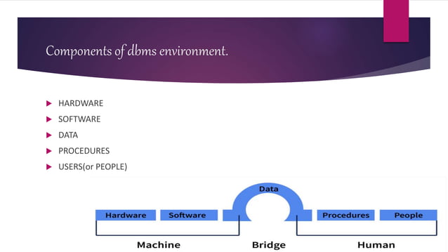 Dbms environment and components ppt.pptx