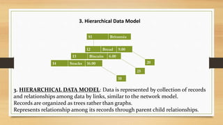 Introduction to DBMS(For College Seminars) | PPTX