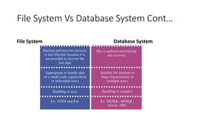 DBMS Introduction 5 .pptx
