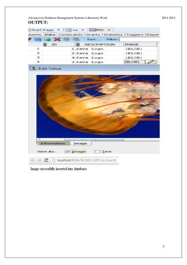 Advanced Database Management System Laboratory | PDF