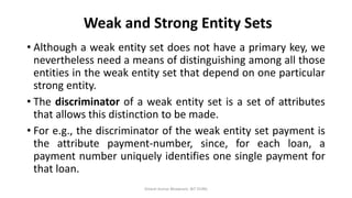 Database management system Lecture 7 : Strong and weak entity sets | PDF