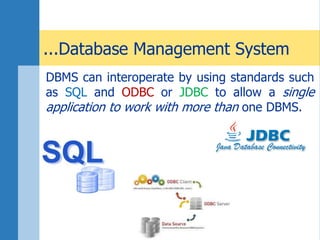 Lesson 1: Introduction to DBMS | PDF