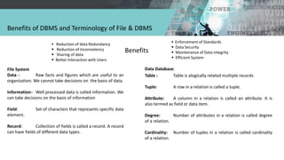 Dbms Basics | PPTX | Databases | Computer Software and Applications