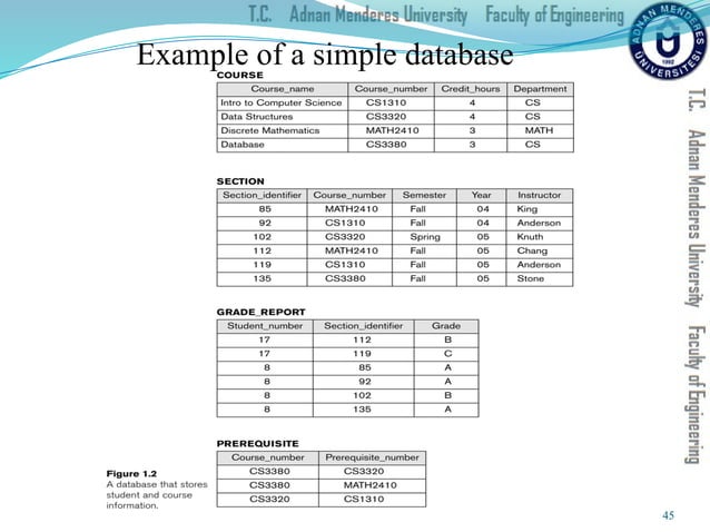 Database management system chap1 ppt.pptx