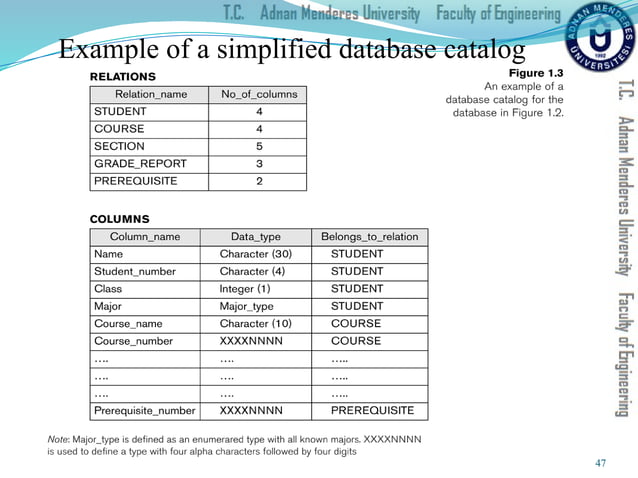 Database management system chap1 ppt.pptx
