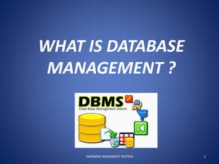 DATABASE MANAGEMENT | PPT