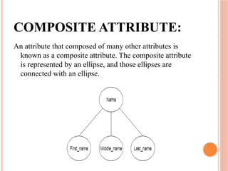 DBMS: ER Model Basics with a good description | PPTX