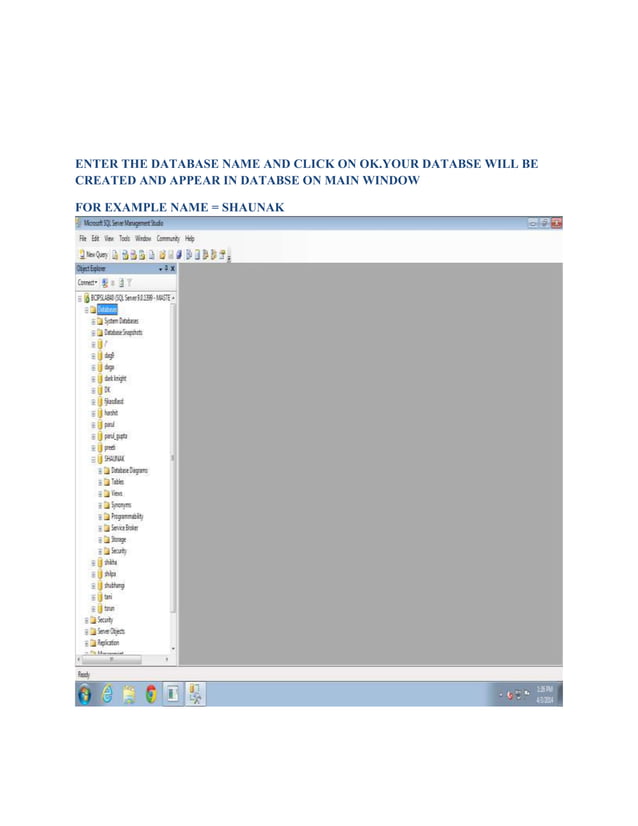 Dbms project file shaunak | PDF