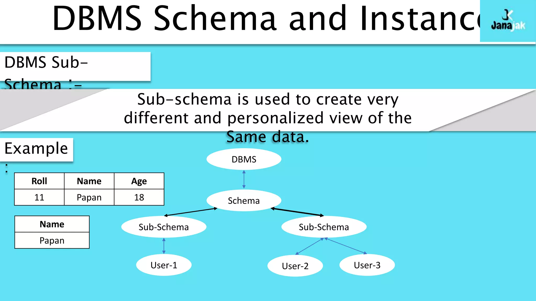Dbms schema & instance | PPTX