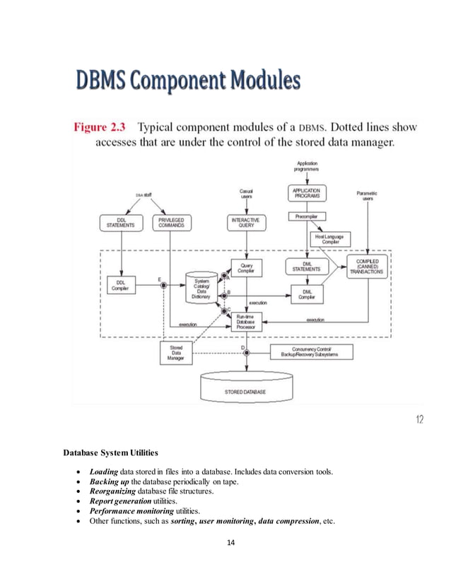 DATABASE MANAGEMENT SYSTEM UNIT-I Chapter-1 | PDF