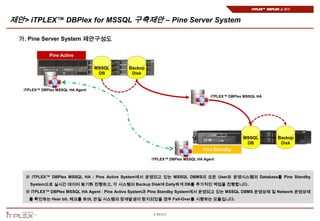 DBPlex MSSQL HA Solution 제안서 | PPT