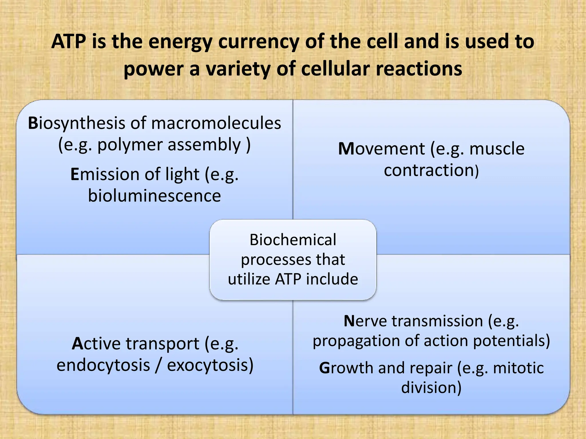 ELECTRON TRANSPORT CHAIN | PPTX