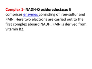 ELECTRON TRANSPORT CHAIN | PPTX