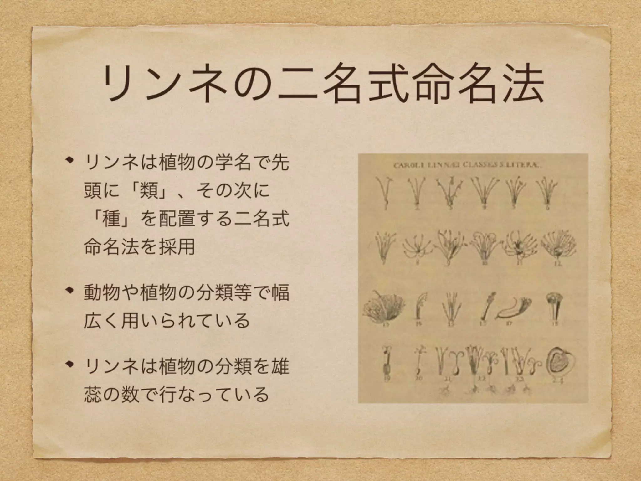 Introduction to SageMath (in Janapese) | PDF | Databases | Computer Software and Applications