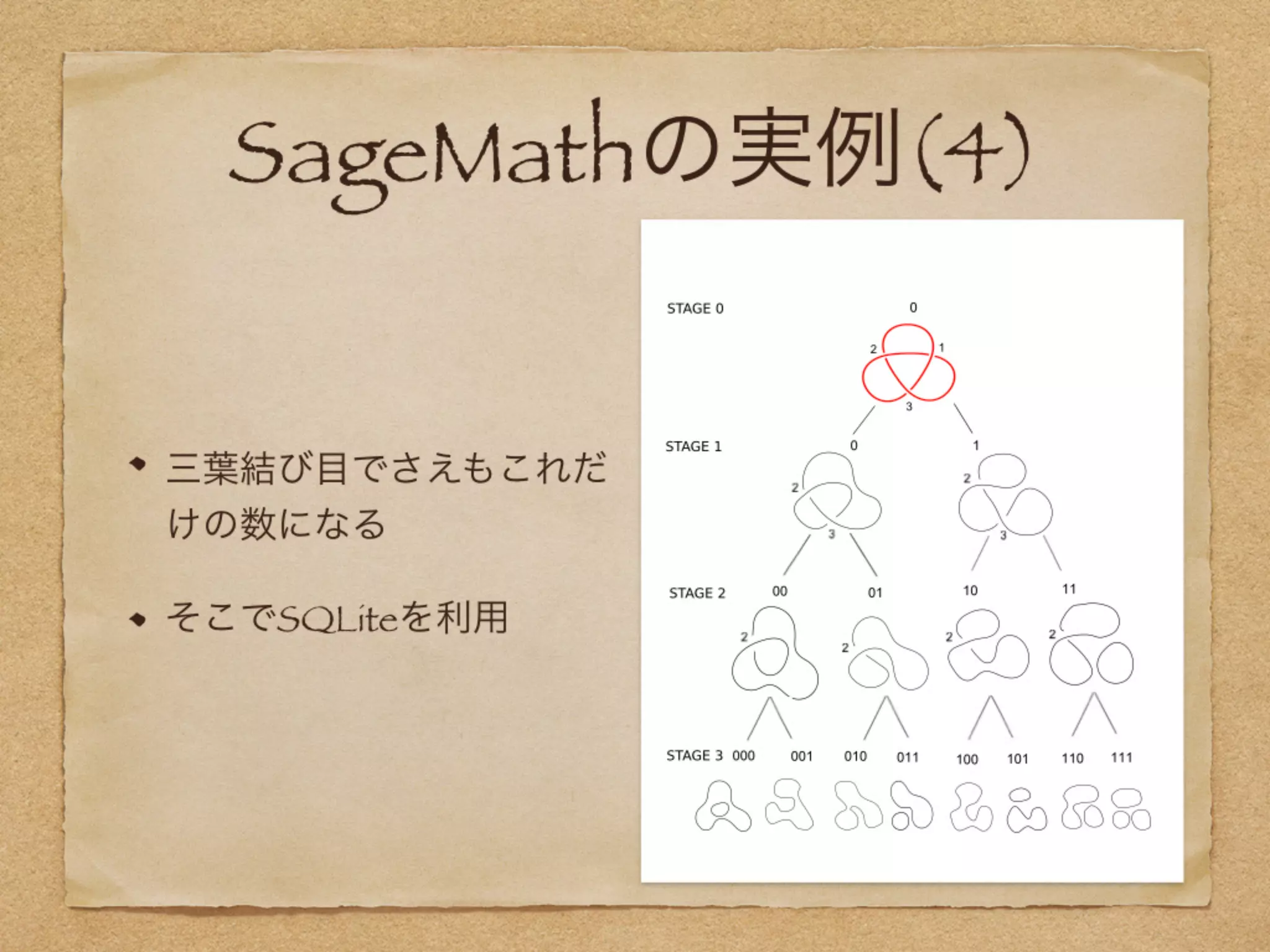 Introduction to SageMath (in Janapese) | PPT