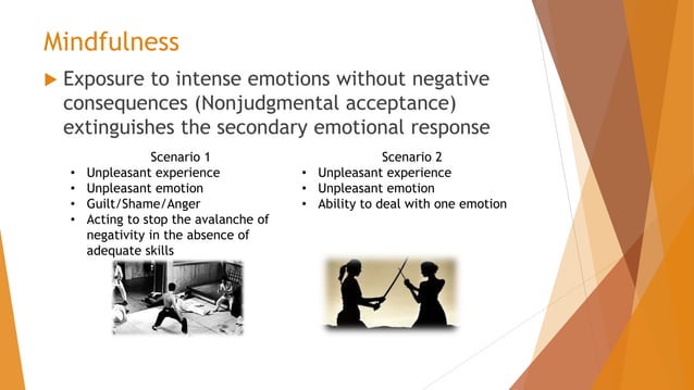 Emotion Regulation and Vulnerability Prevention | PPT
