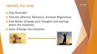 Dialectical Behavior Interventions: Problem Solving | PPTX