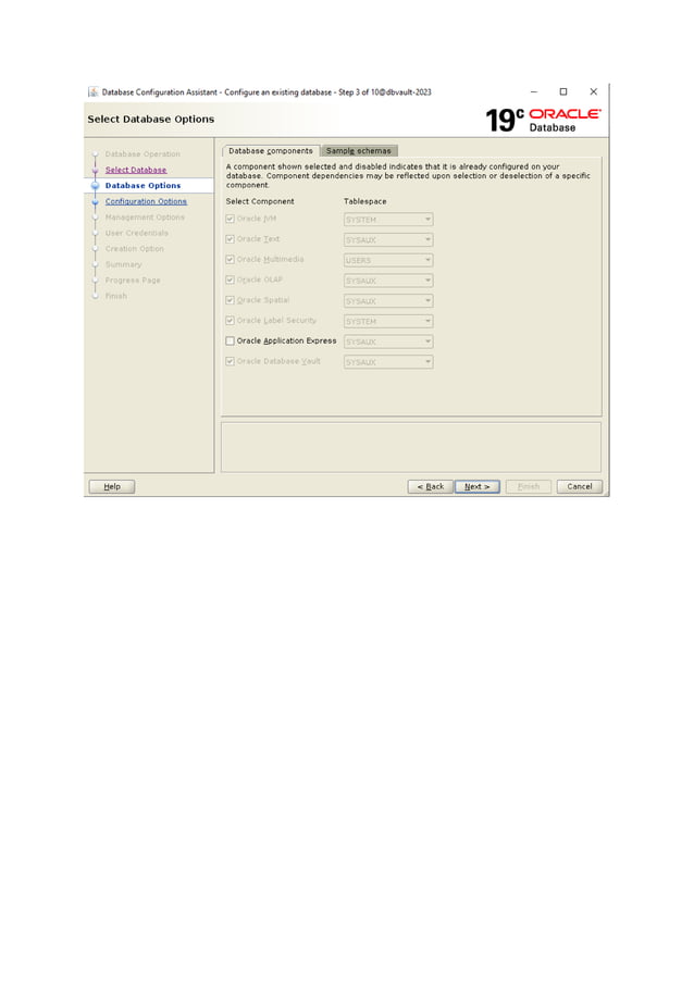 DB_Vault_Implementaion_Steps.docx