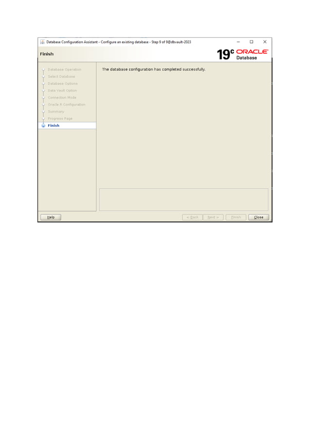 DB_Vault_Implementaion_Steps.docx