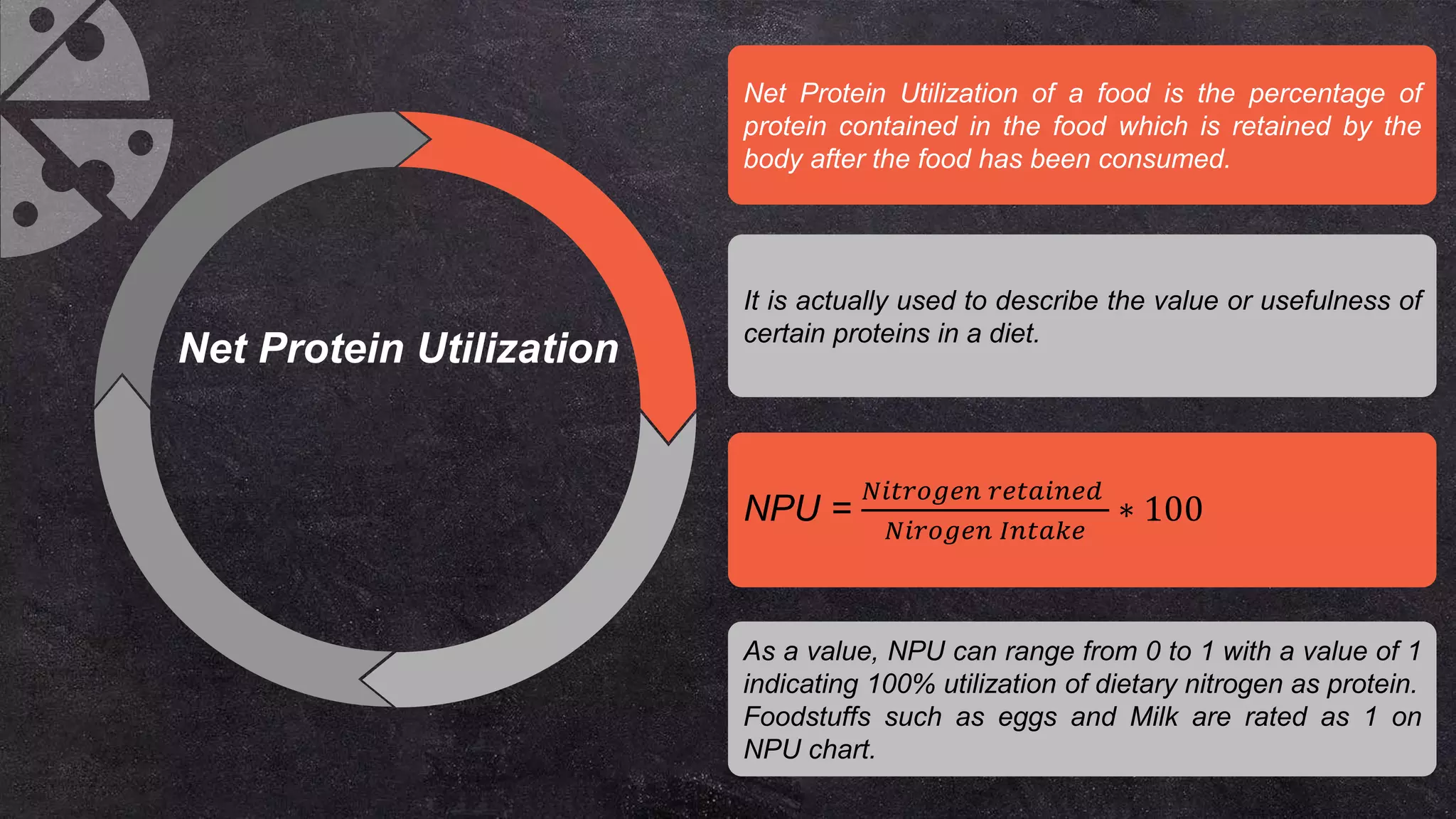 Food Proteins | PPTX