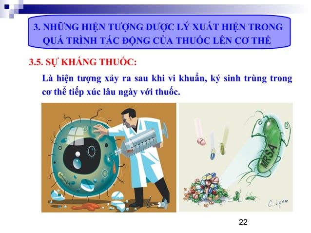 Dc cac yto qdinh tac dung cua thuoc | PPT
