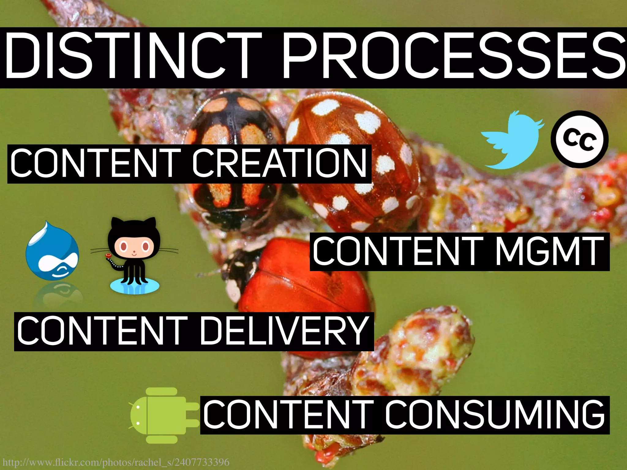Fat client, CMS as API | PDF | Web Development | Internet