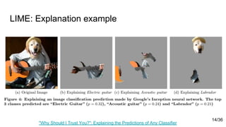 DC02. Interpretation of predictions | PPT