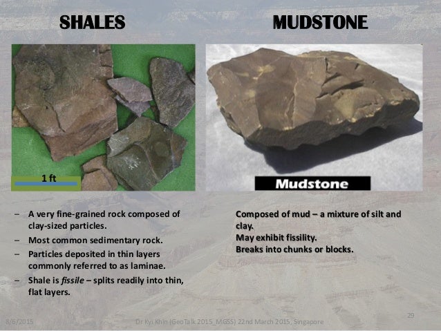 Understanding the sedimentary rocks - Geotalk 2 (MGSS)