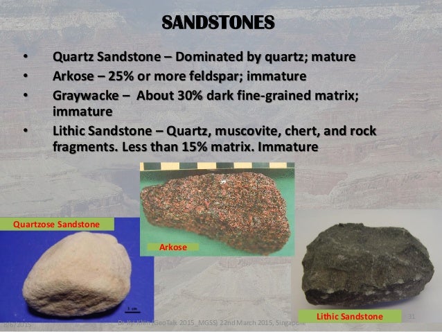 Understanding the sedimentary rocks - Geotalk 2 (MGSS)