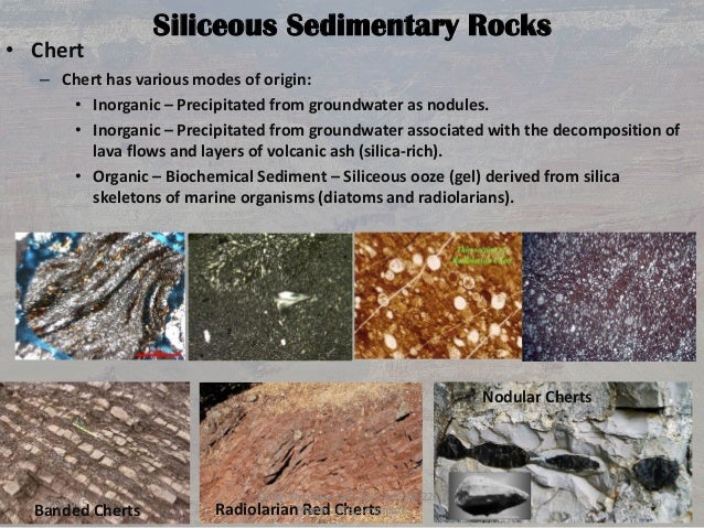 Understanding the sedimentary rocks - Geotalk 2 (MGSS)