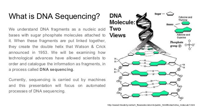 DNA Sequencing Outline