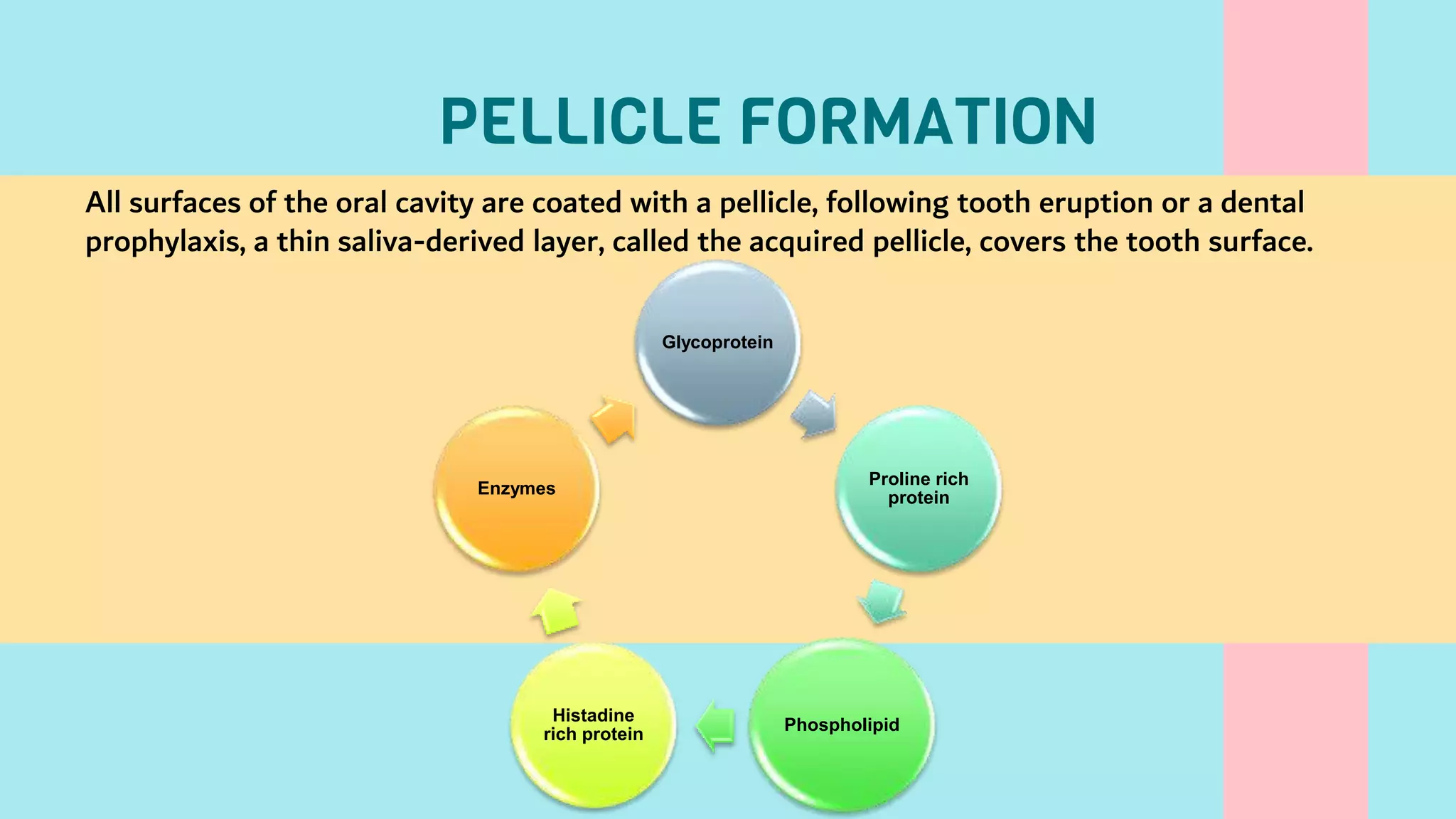 Dental Calculus.pptx