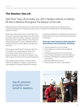 PCS-Ferguson_Corporate-Capabilities | PDF