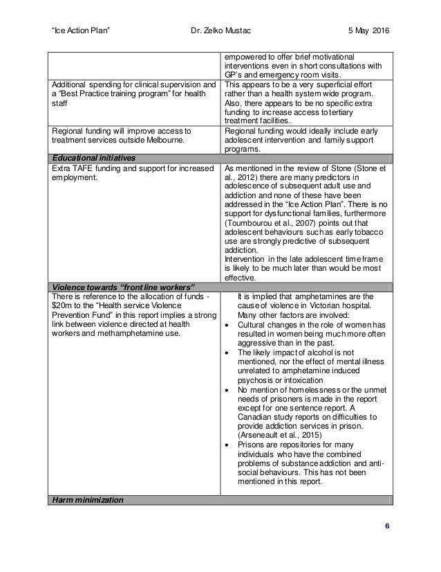 ICE Action Plan V1.7