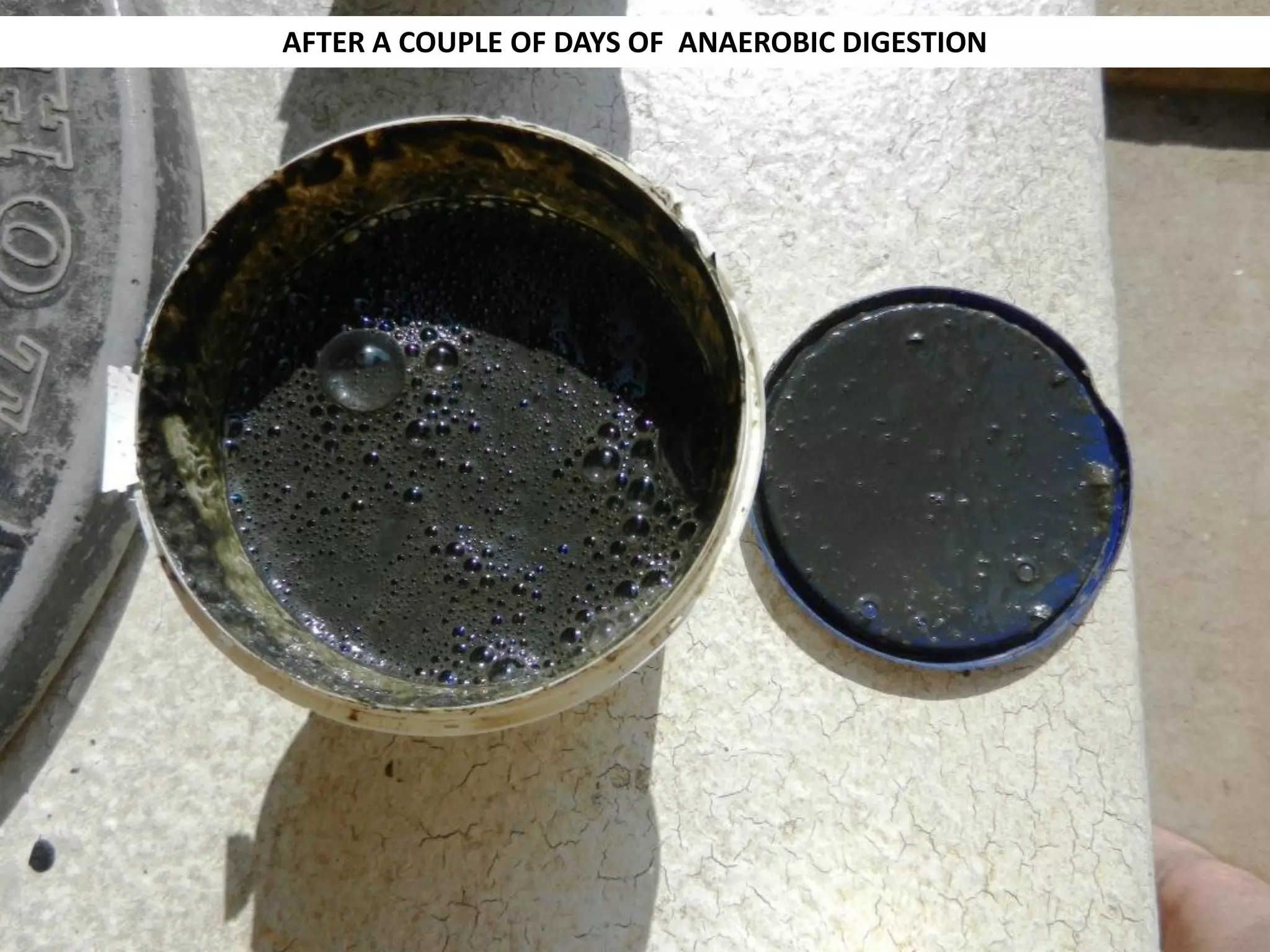 Sludge Digestion demo | PPT