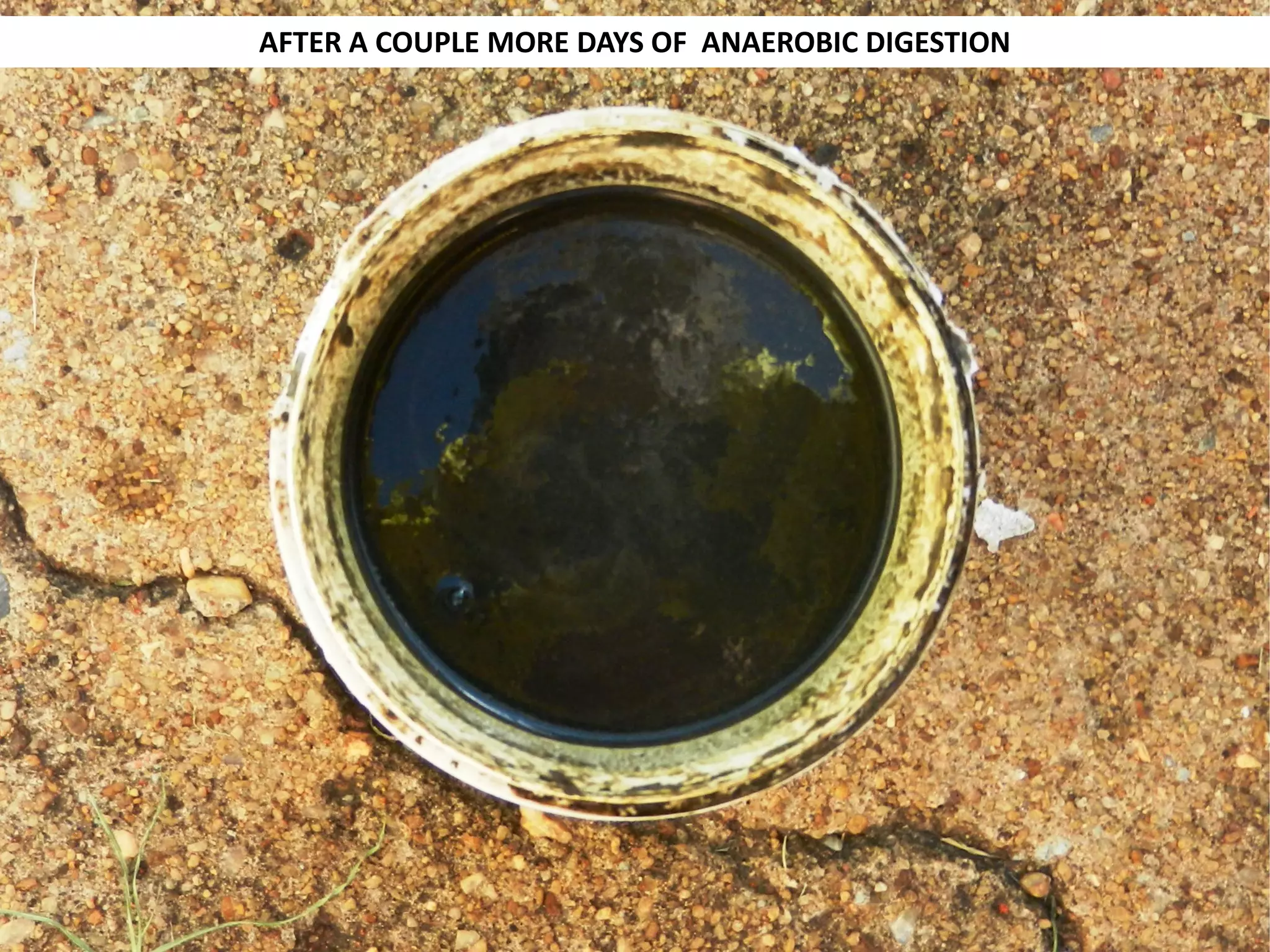 Sludge Digestion demo | PPT