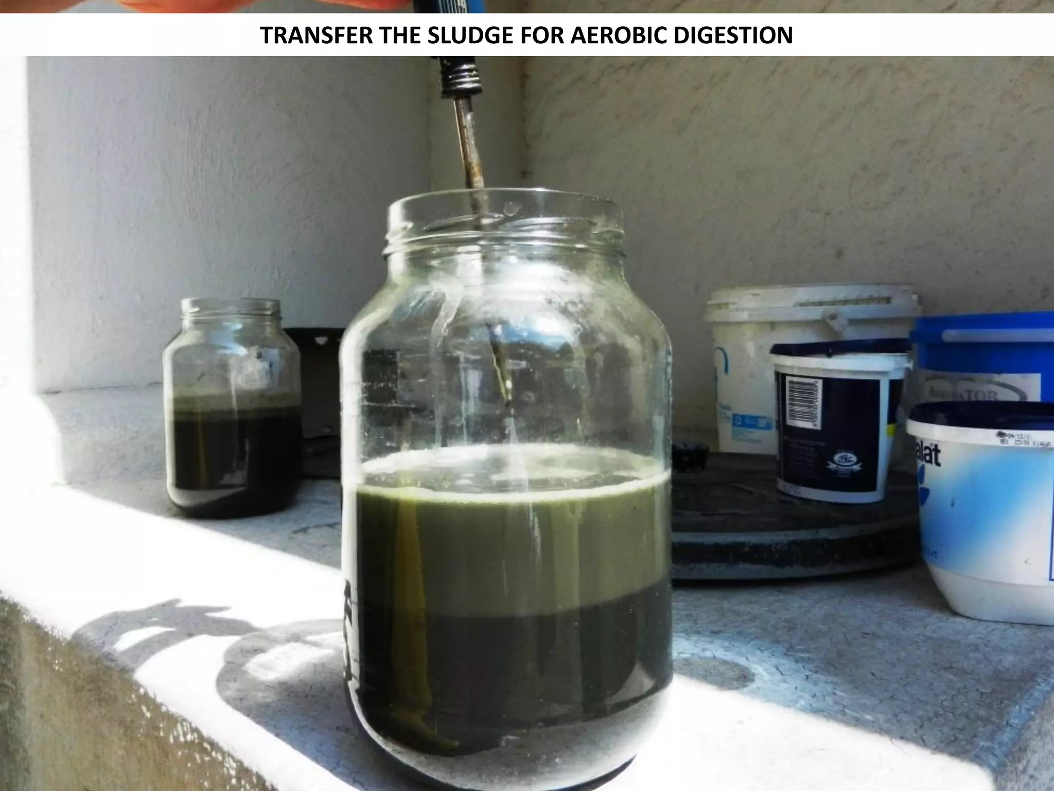 Sludge Digestion demo | PPT