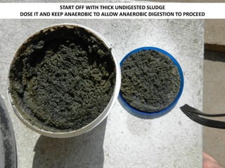 Sludge Digestion demo | PPT
