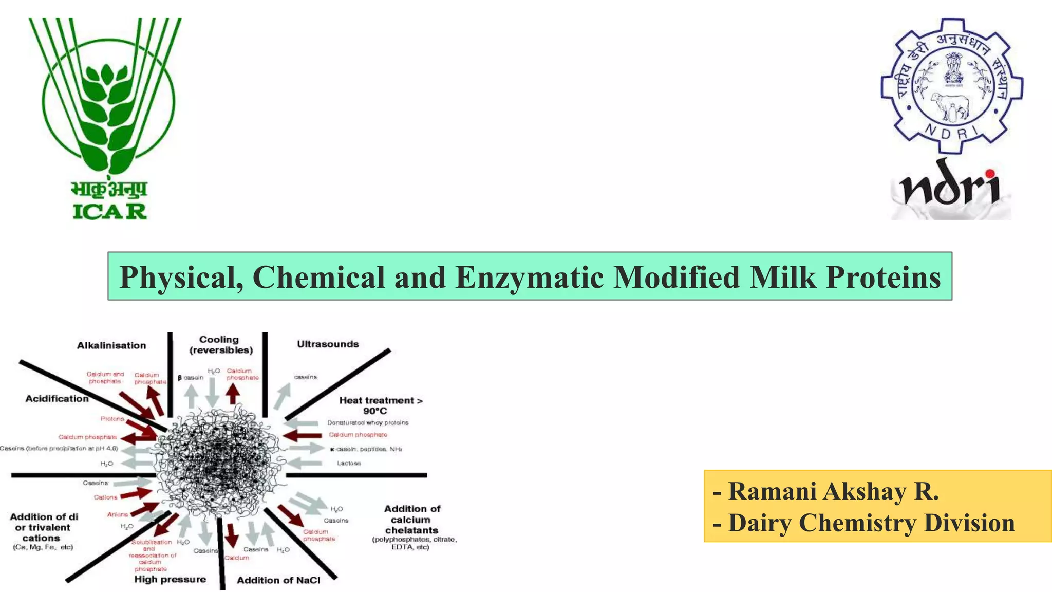 Physical, Chemical and Enzymatic Modified Milk Proteins | PPTX