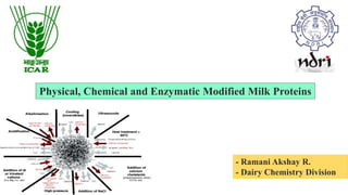 Physical, Chemical and Enzymatic Modified Milk Proteins | PPTX