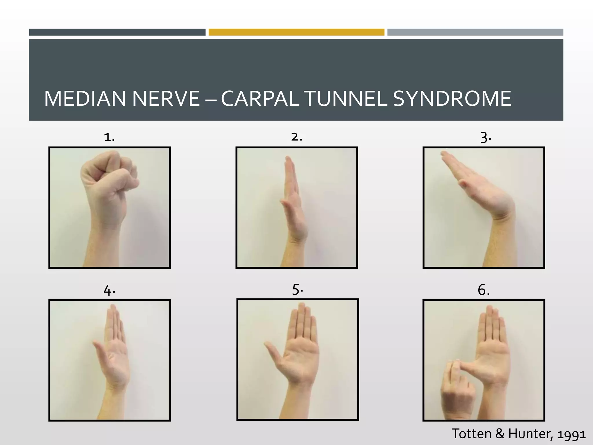 Nerve Gliding Exercises - Excursion and Valuable Indications for ...