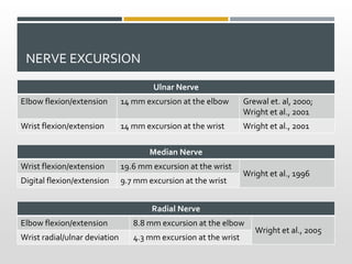 Nerve Gliding Exercises - Excursion and Valuable Indications for ...