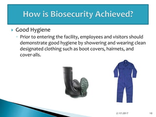 Biosecurity Measures for poultry Farm | PPTX